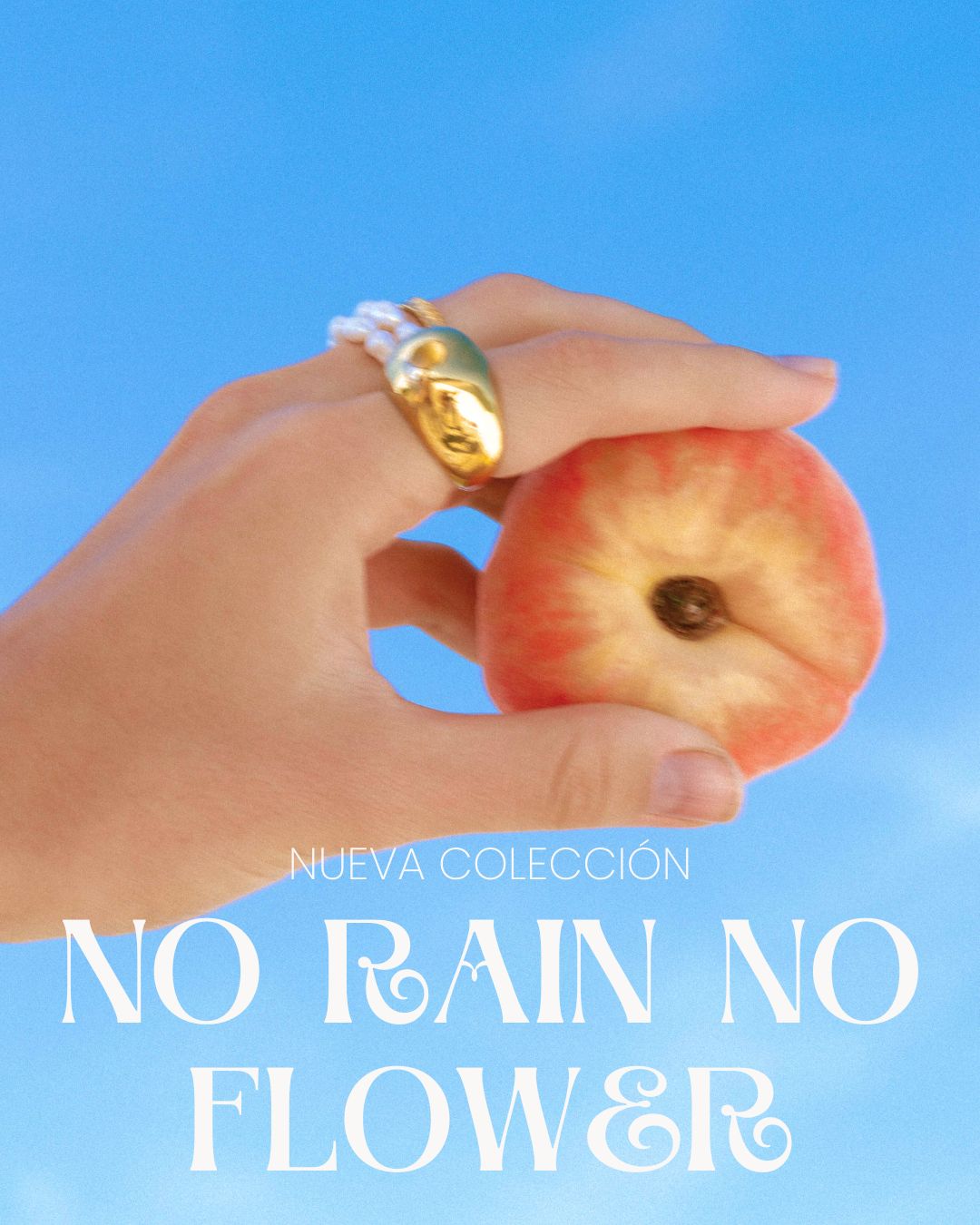 NO RAIN NO FLOWER – pialu